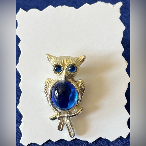 Jewelry | Owl Pin | Poshmark